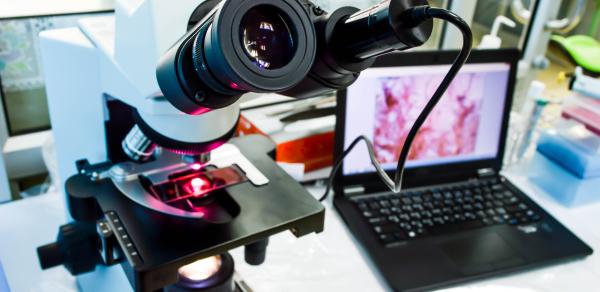 Computer-Assisted Chemistry Tutorial Lab | Chemistry | CSI CUNY Website